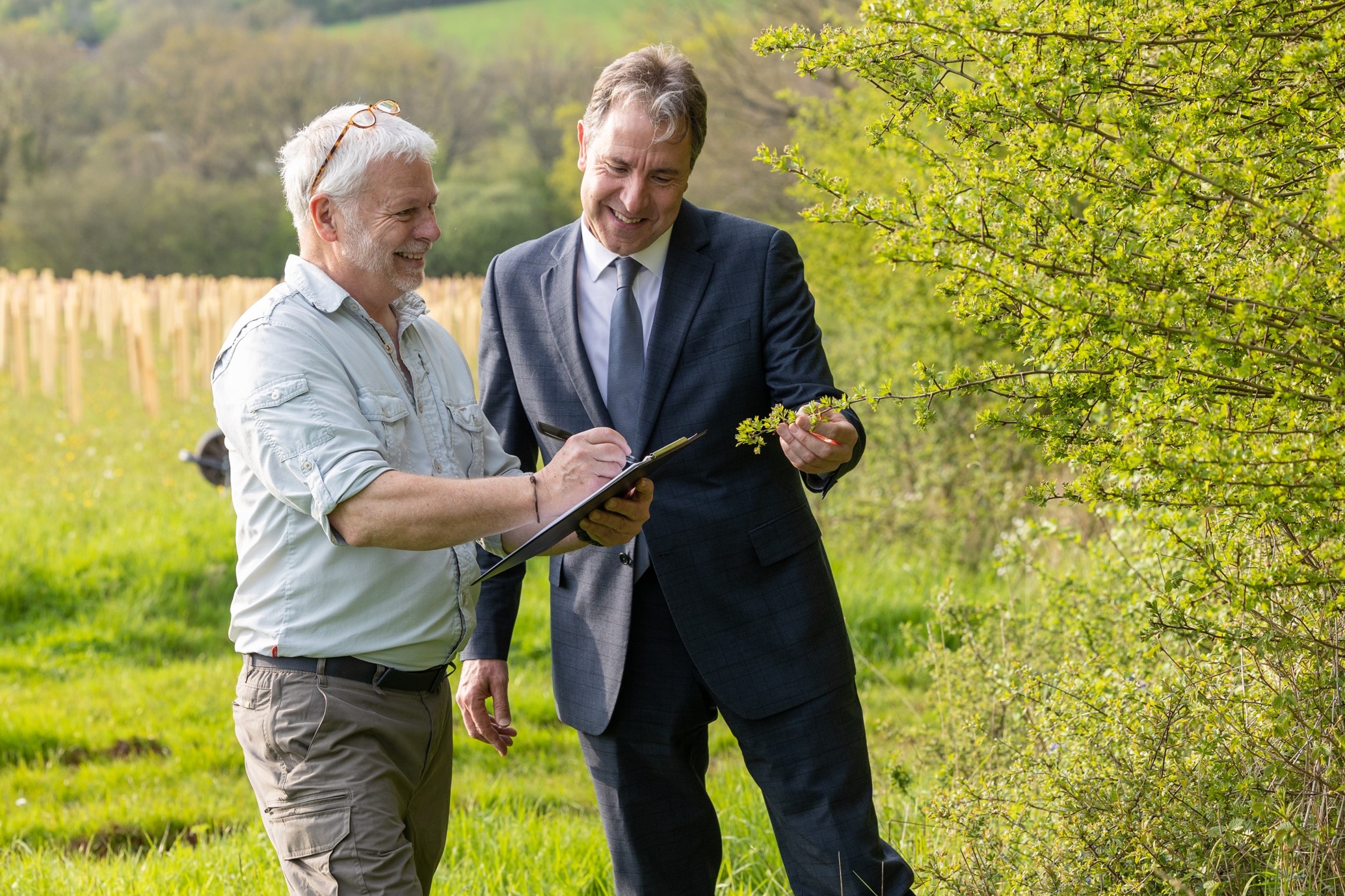 Life on the hedge - Bradley Stoke Voice